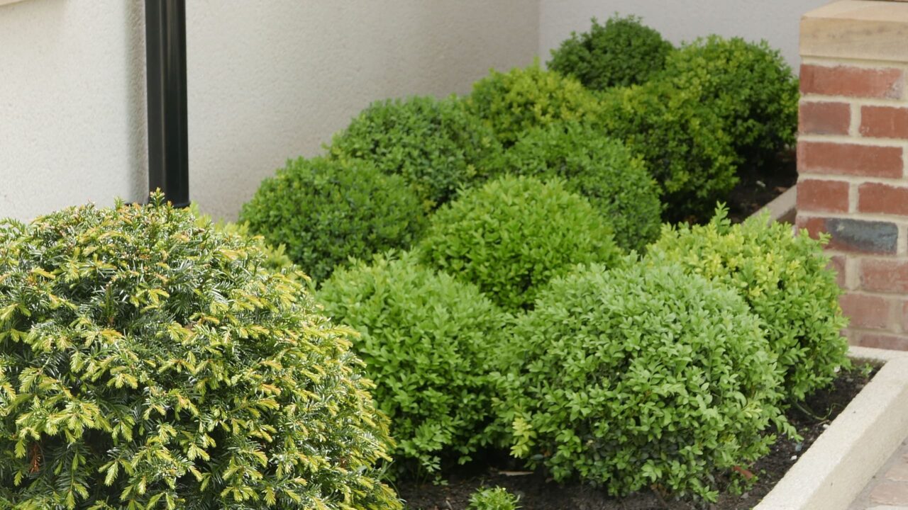 Large Scale Gardens Hartburn – Sam Nattress Gardens
